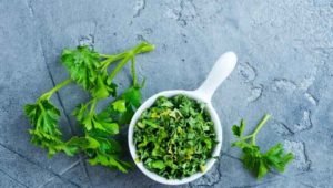 O que é cheiro verde? Confira toda a verdade! - A Cozinha da Vê