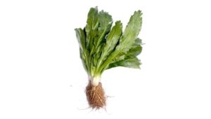 O que é cheiro verde? Confira toda a verdade! - A Cozinha da Vê