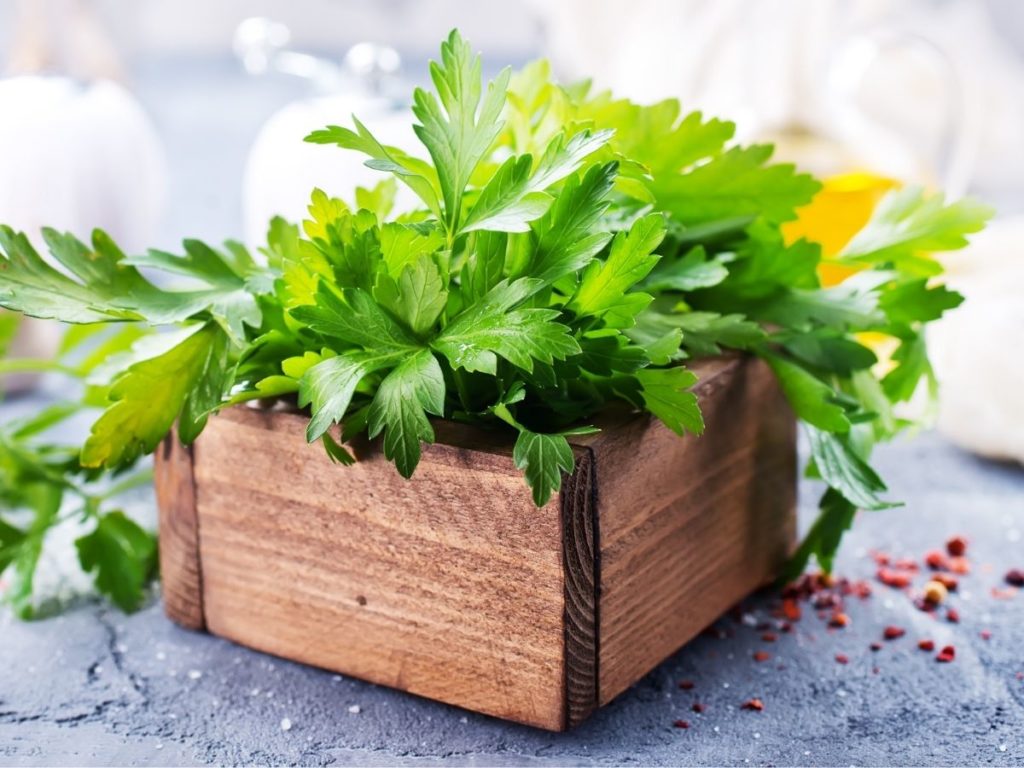 O que é cheiro verde? Confira toda a verdade! - A Cozinha da Vê