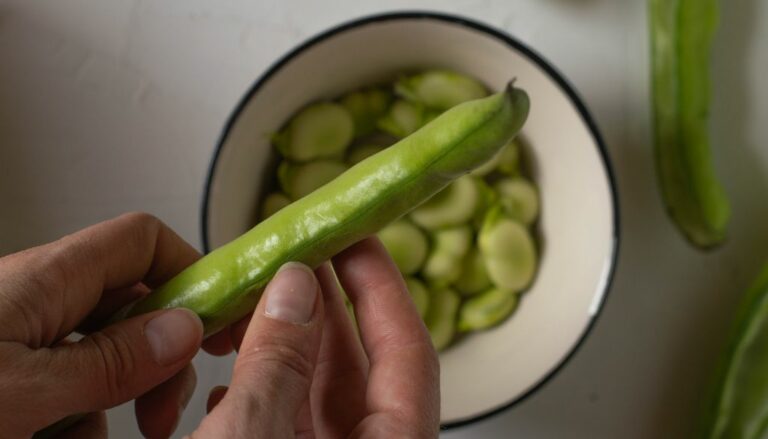 Favas: Os Segredos que Descobri Sobre este Ingrediente Mágico