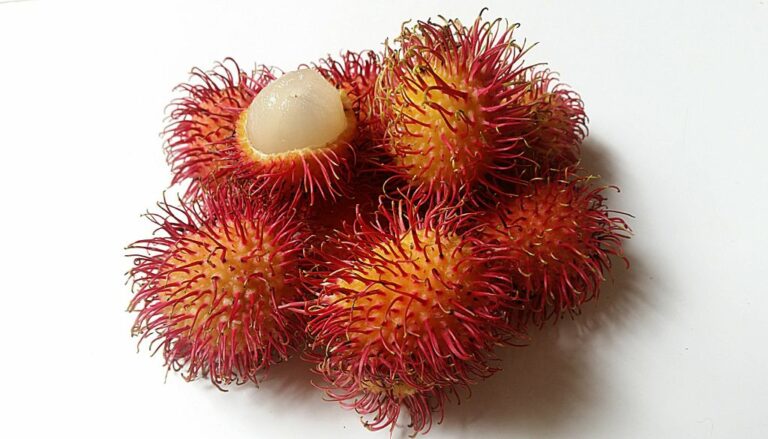 Rambutão: descubra as delícias e curiosidades dessa fruta exótica