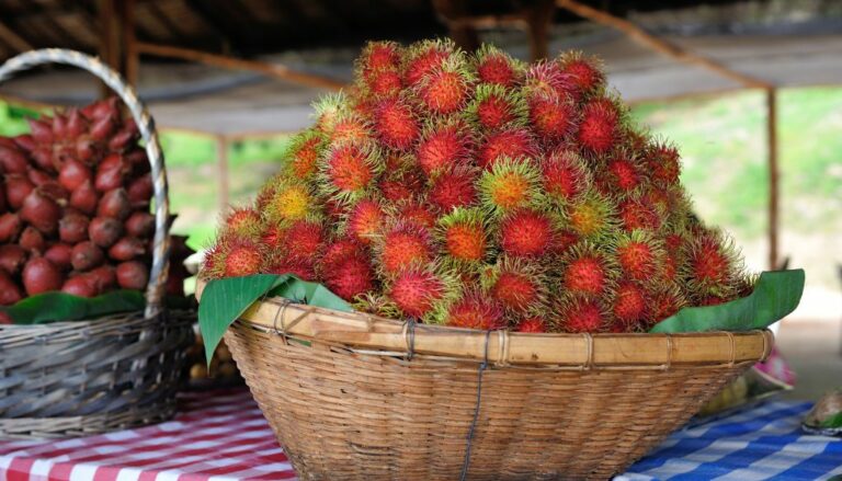 Rambutan: discover the delights and curiosities of this exotic fruit