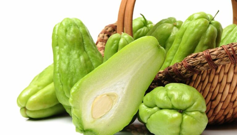 Xuxu: The magic ingredient that will transform your recipes