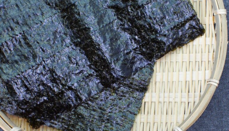 Alga nori: O sabor surpreendente do mar na culinária brasileira