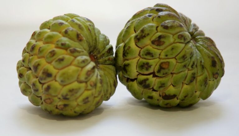 Qual a diferença da fruta do conde e graviola? Vamos descobrir!