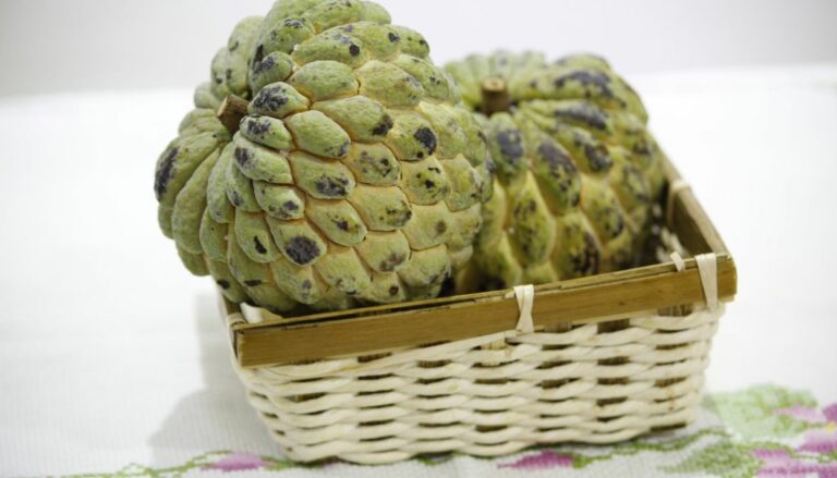 Guia Definitivo: Como Saber se a Fruta do Conde está Madura?