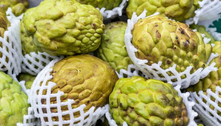 Qual é a diferença entre Pinha e Fruta-do-Conde? Vamos explicar!